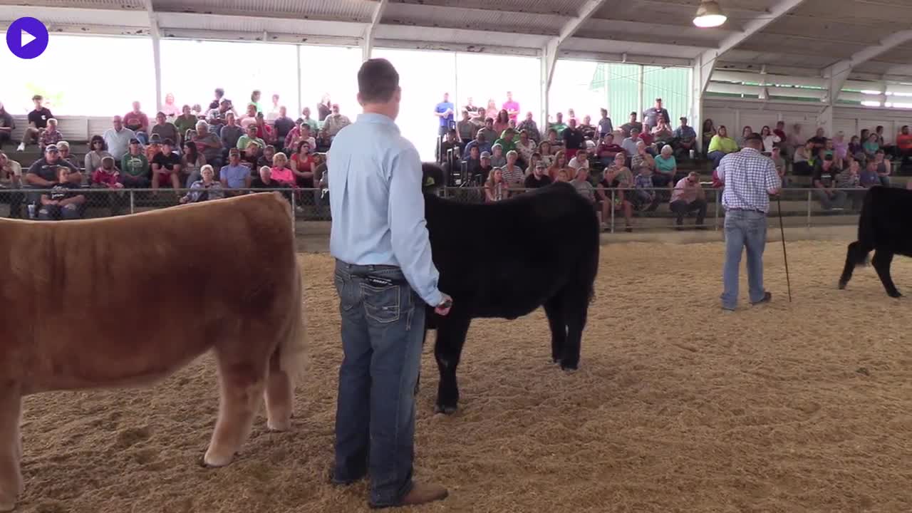 Beef Showmanship | General | goodguysradiotv