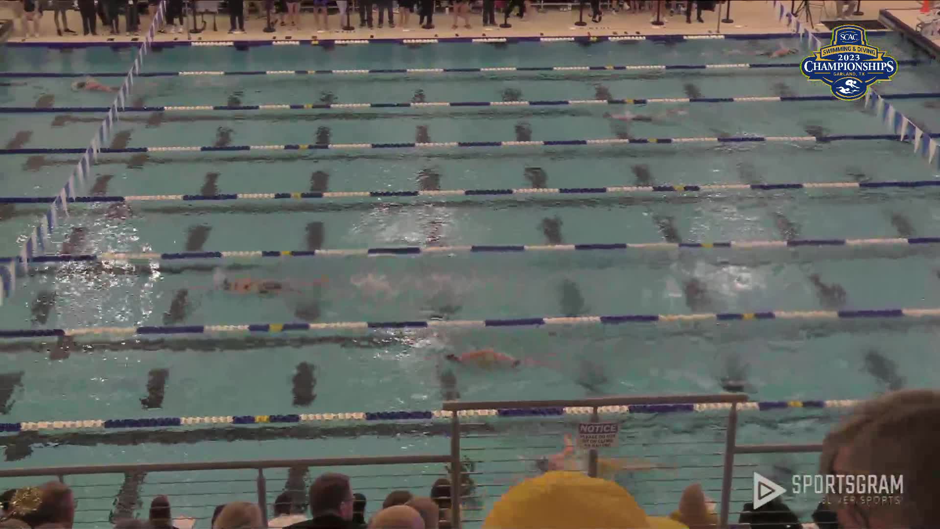 SCAC Swimming and Diving Session 7 - Sat PM | General | Sportsgram1